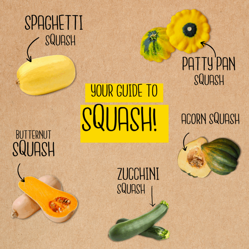 Teníye Market Squash Guide | Teníye Local Market